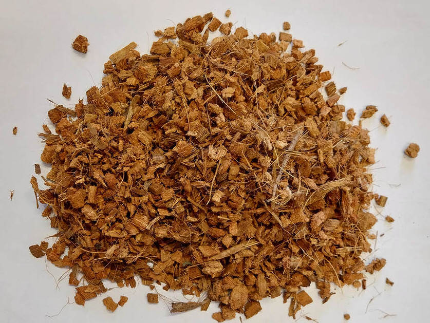 La chips di cocco nei substrati di coltivazione - Pierucci Agricoltura ...